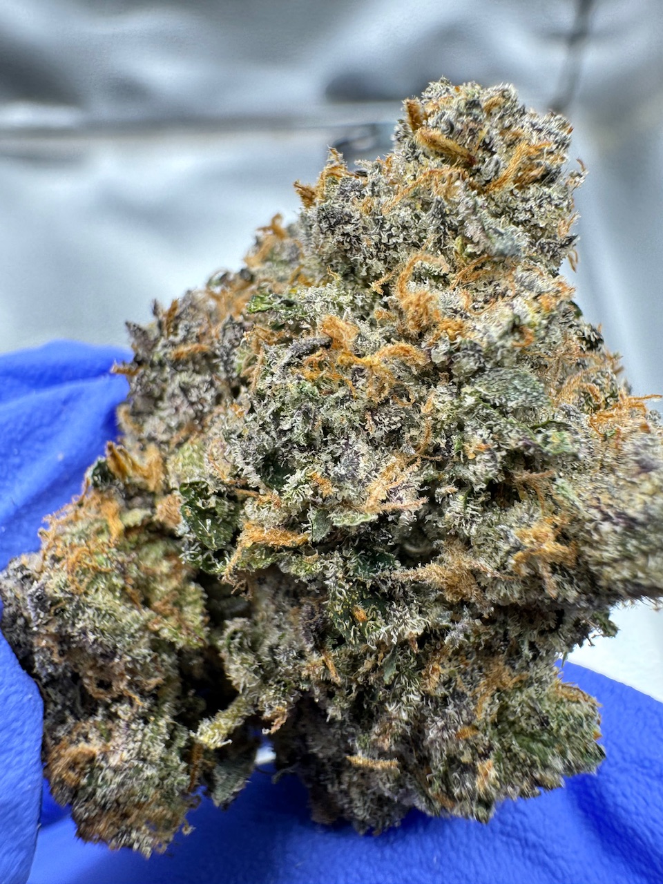 Candy Runtz Digital Art - ERB - HUB