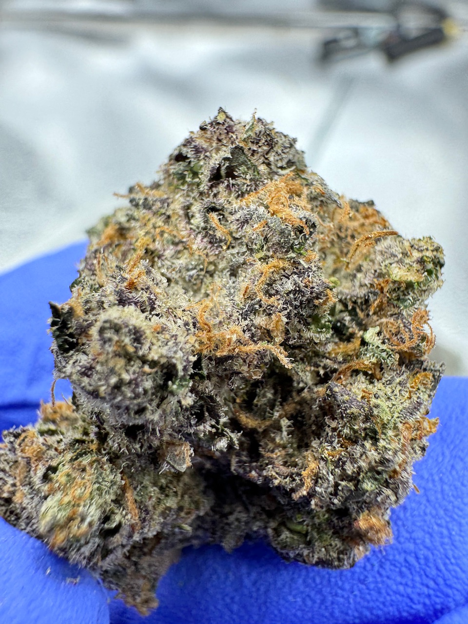 Candy Runtz Digital Art - ERB - HUB