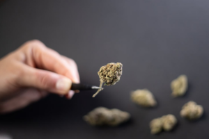 How Does THC Work? A Beginner's Guide to the Science of Cannabis - ERB ...
