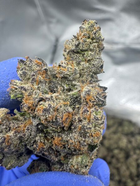 250$ Flower Digital Art 28MB Archives - ERB - HUB